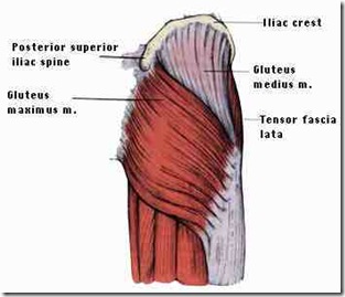 Sports and Fitness Science: May 2008